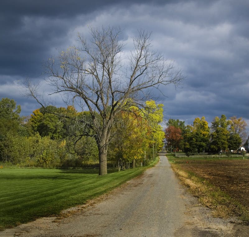 Autum time stock photo. Image of cloud, tree, fall, leaf - 11843734
