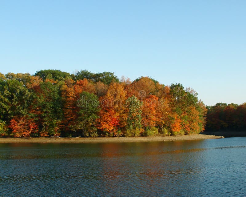 Autumn River stock photo. Image of park, forest, bright - 16507052