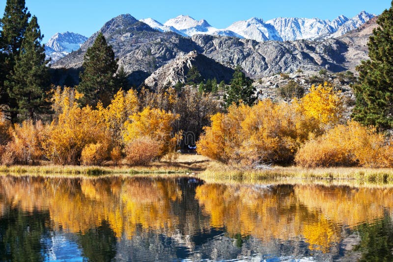 Autumn stock image. Image of natural, autumn, tree, foliage - 14397907