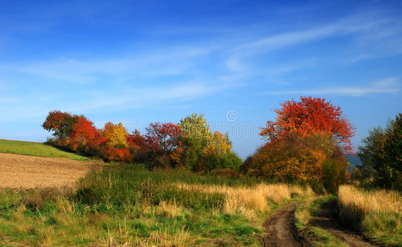 Autumn stock image. Image of september, scenery, field - 15390337