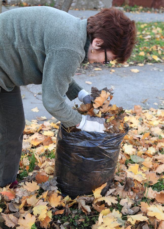 Autumn cleaning stock image. Image of seasonal, grass - 1397829
