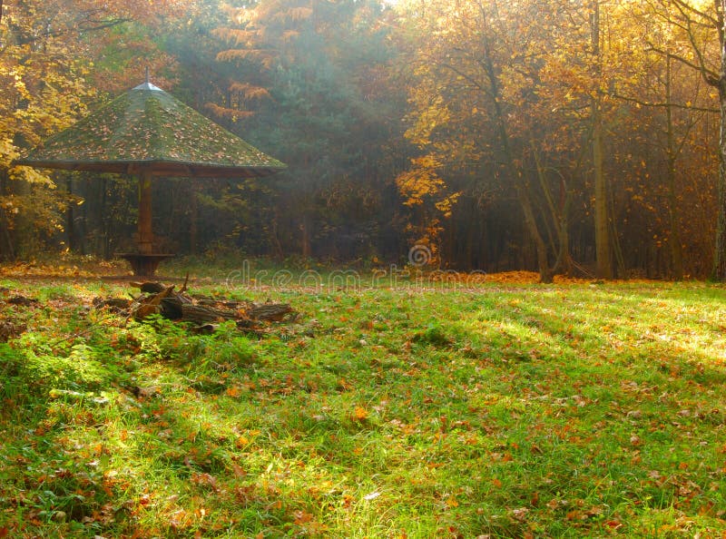 Autumn stock image. Image of september, trees, seasons - 21962113