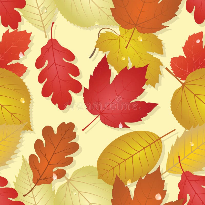 Vector Illustration Set of 19 Autumn Leaves. Stock Vector ...