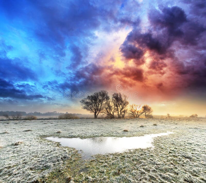 Stunning Surreal False Color Infrared Summer Landscape Over Agri Stock ...