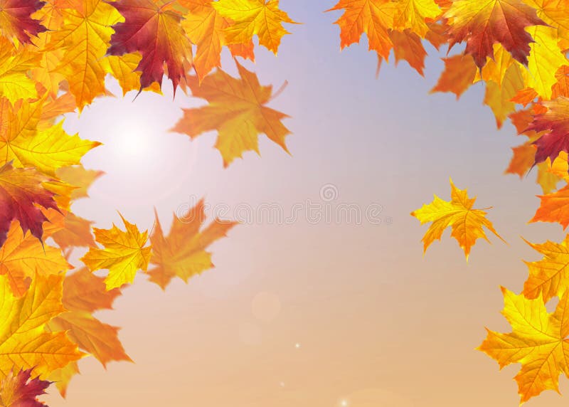 AUTUMN stock photo. Image of november, september, backdrops - 26508226