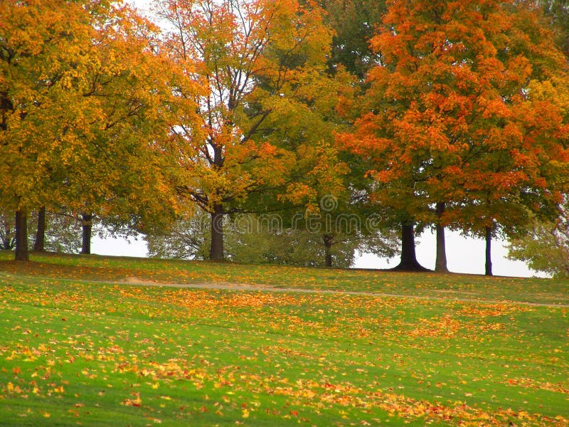 Autumn stock image. Image of pennsylvania, east, growth - 301579