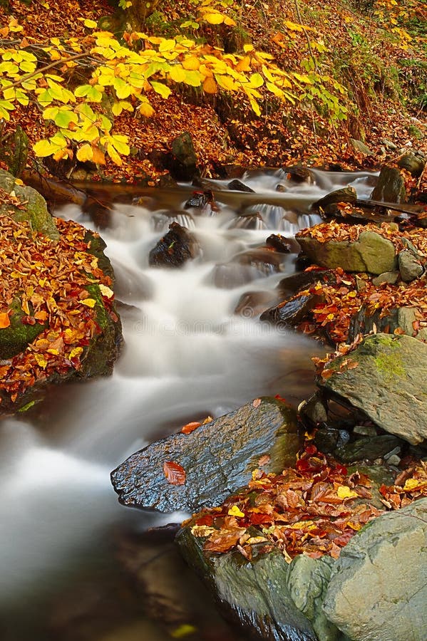 Autumn stock photo. Image of autumn, milky, rest, mountain - 3414340