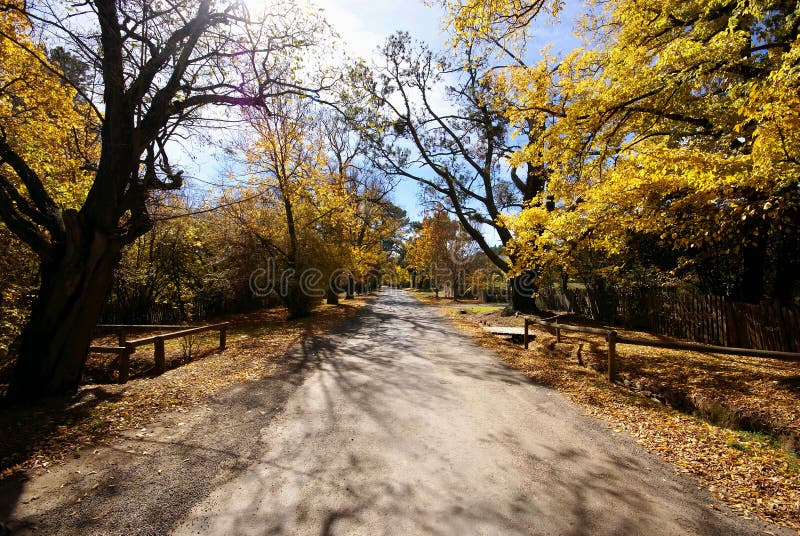 Autumn stock photo. Image of gravel, twig, street, autumn - 5110406