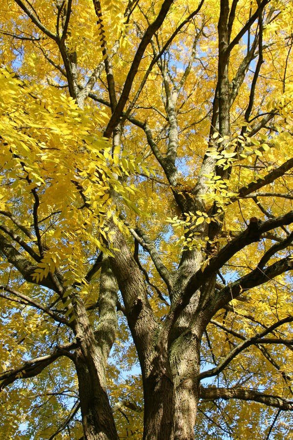 Autumn Picture. Image: 6710958