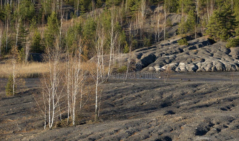Autumn in the Abandoned Quarry Stock Image - Image of ravine, forest ...