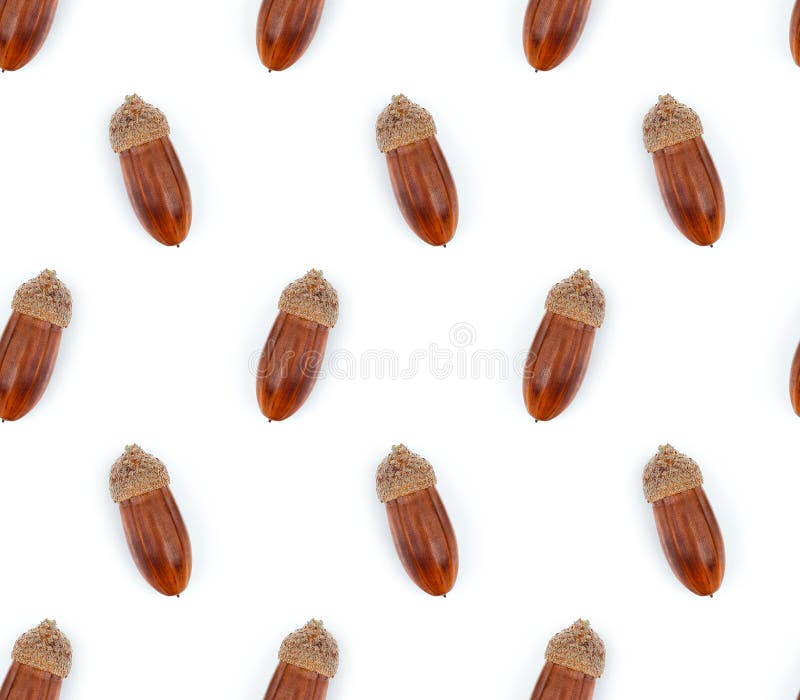 Autumn Acorns Seamless Pattern on White Background. Flat Lay, Top View ...