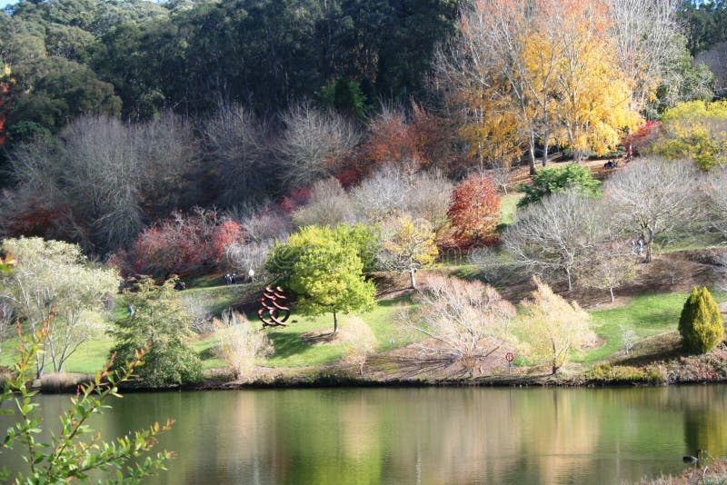 Autumn, Adelaide Hills stock photo. Image of shrubs, leaves - 14905482