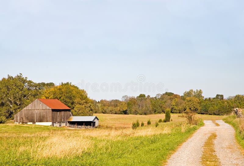 Autumn Afternoon on the Farm Stock Photo - Image of agriculture, wooden ...