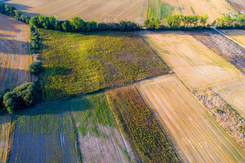 Autumn Agricultural Fields at Sunset, Aerial View from a Drone Stock ...