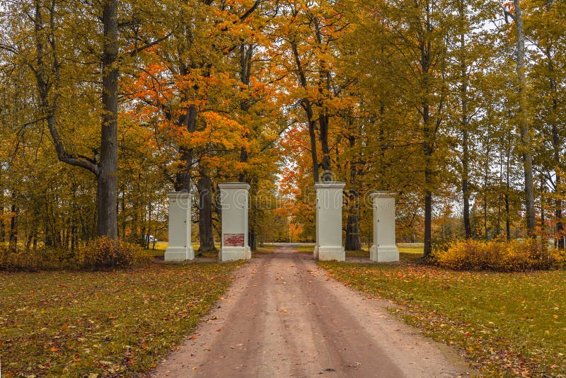 Autumn Alley in the Park with White Gates Stock Image - Image of gates ...