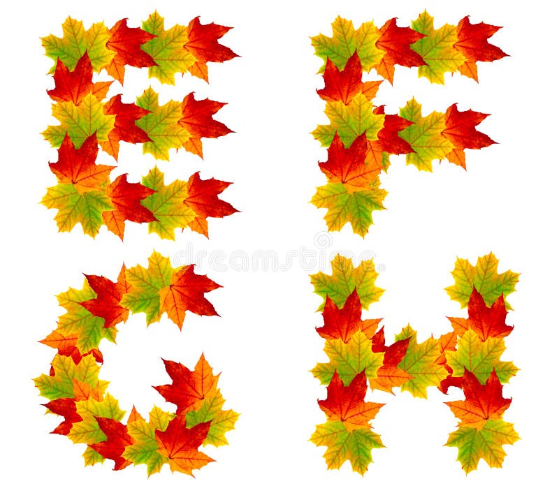 Autumn alphabet stock image. Image of colorful, abloom - 33480243