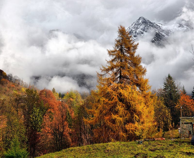 Autumn Alpine landscape stock image. Image of nature - 81140995
