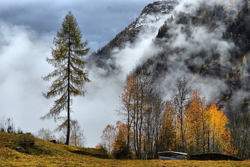 Autumn Alpine landscape stock photo. Image of autumn - 81160426