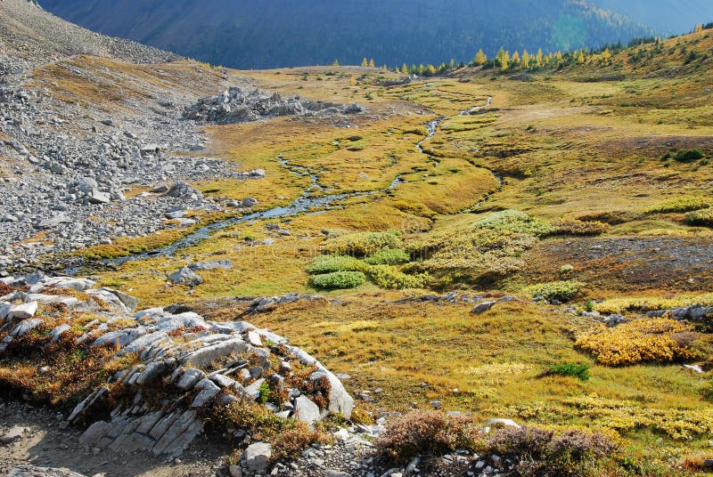 Autumn alpine meadows stock image. Image of lookout, creek - 7260545