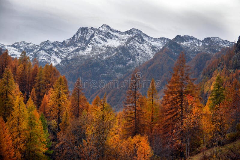 Autumn alpine panorama stock photo. Image of water, landscape - 81160514