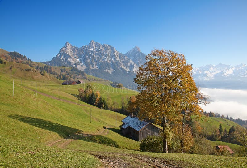 Autumn in alps stock photo. Image of mountain, branch - 22007818
