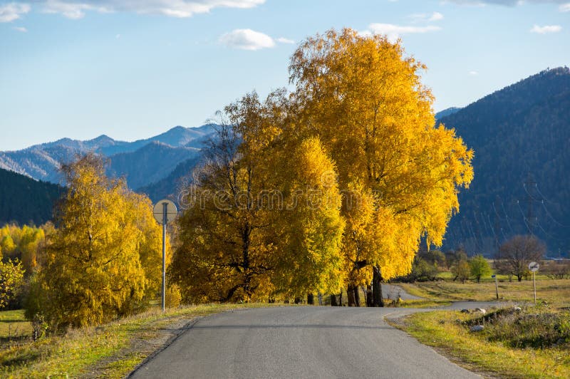 Autumn in Altay mountains stock image. Image of panoramic - 274458761