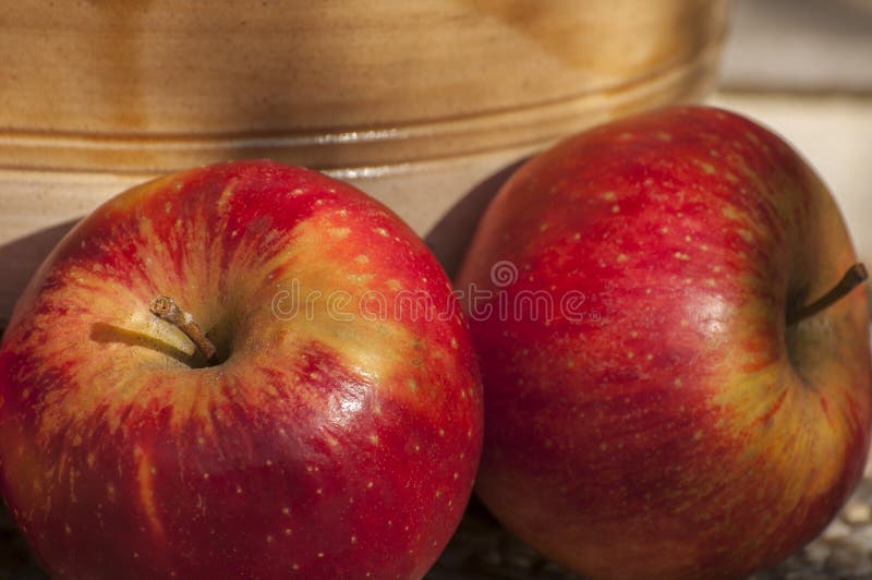 Autumn apples stock photo. Image of apples, open, outside - 27203504