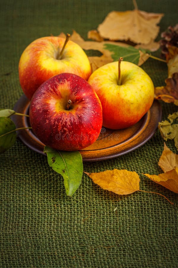 Autumn apples stock photo. Image of food, diet, autumn - 45687378