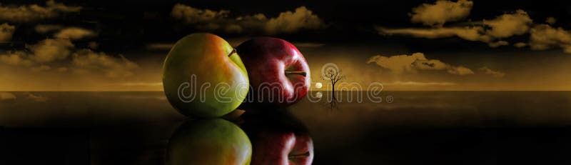 Autumn Apples are Seen at Sunset with an Apple Tree Stock Photo - Image ...