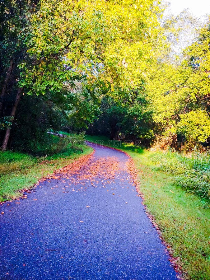 Autumn Approach stock photo. Image of colored, greenway - 128299212