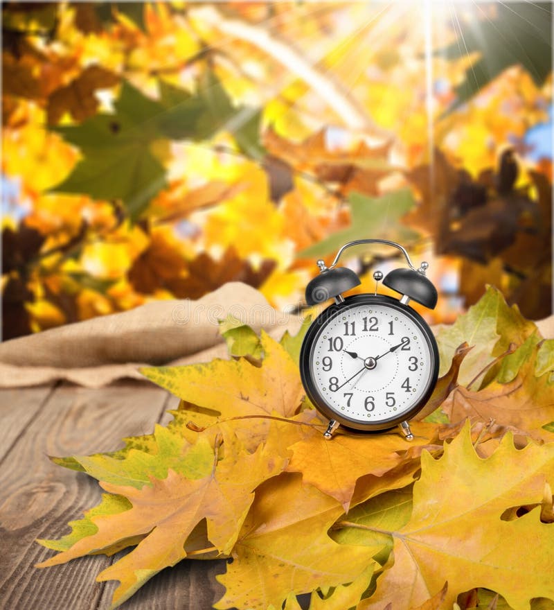 Autumn stock image. Image of time, efficiency, spring - 114542269