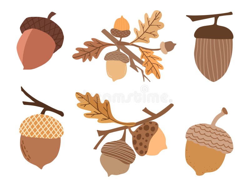 Autumn Plant Element Symbol Icon Set. Hand Drawn Illustration. Stock ...