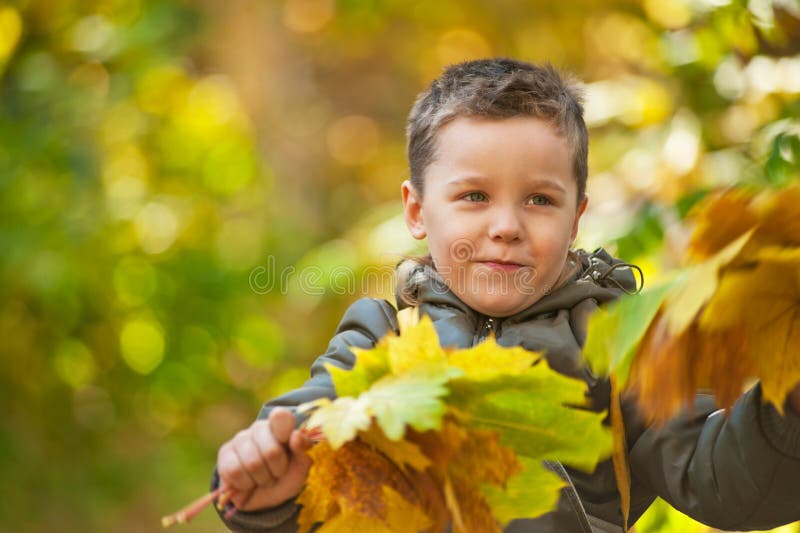 Autumn baby boy stock image. Image of autumn, caucasian - 40895547