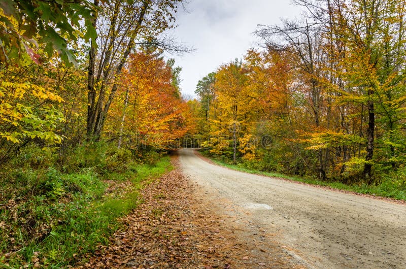 Autumn Back Road stock image. Image of overcast, cloud - 62559941