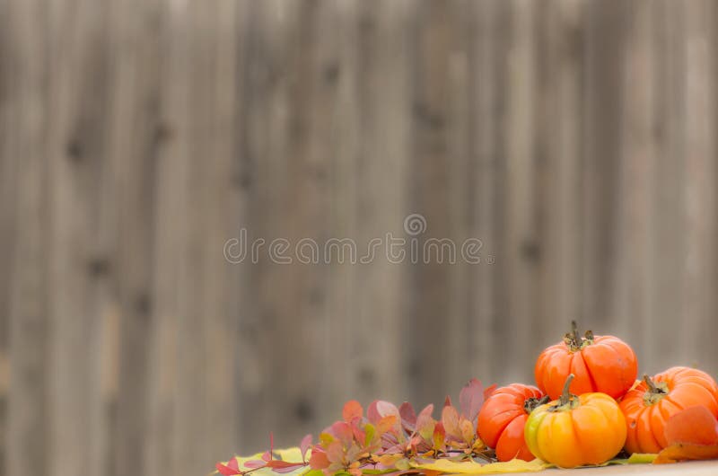 Autumn Backdrop stock photo. Image of autumn, fall, rustic - 80485404