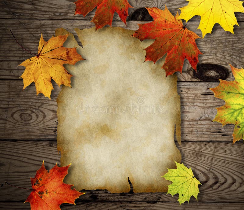 Autumn background stock image. Image of scroll, edge - 21087921