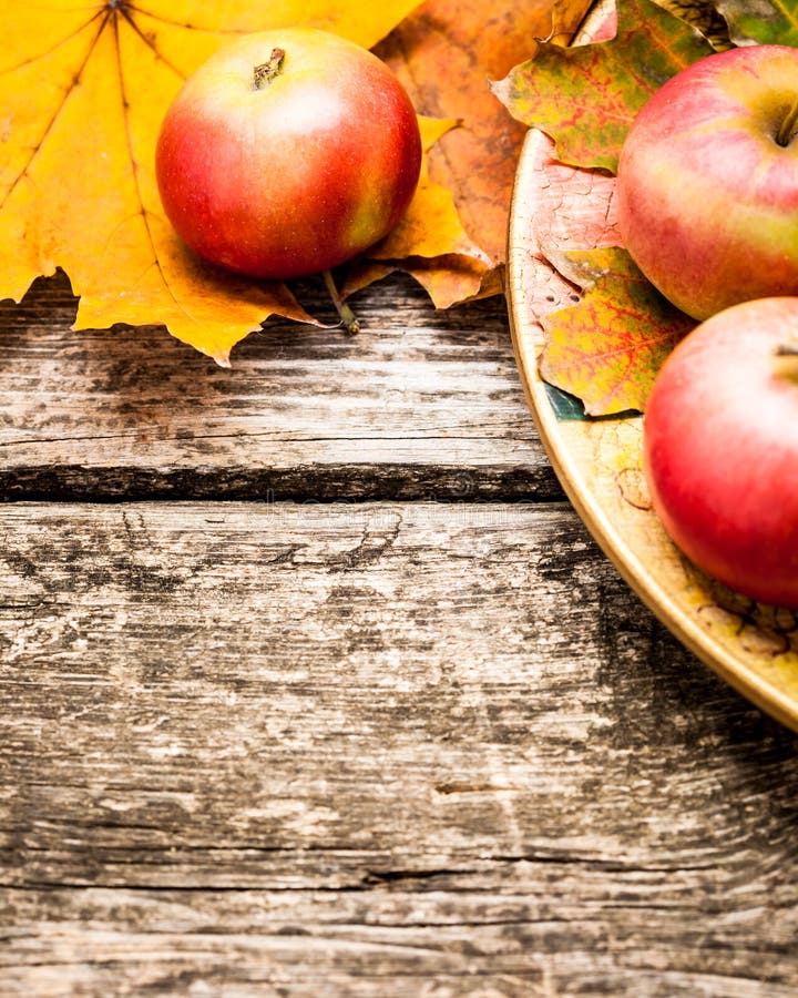 Autumn Background with Apples Stock Photo - Image of design, beautiful ...