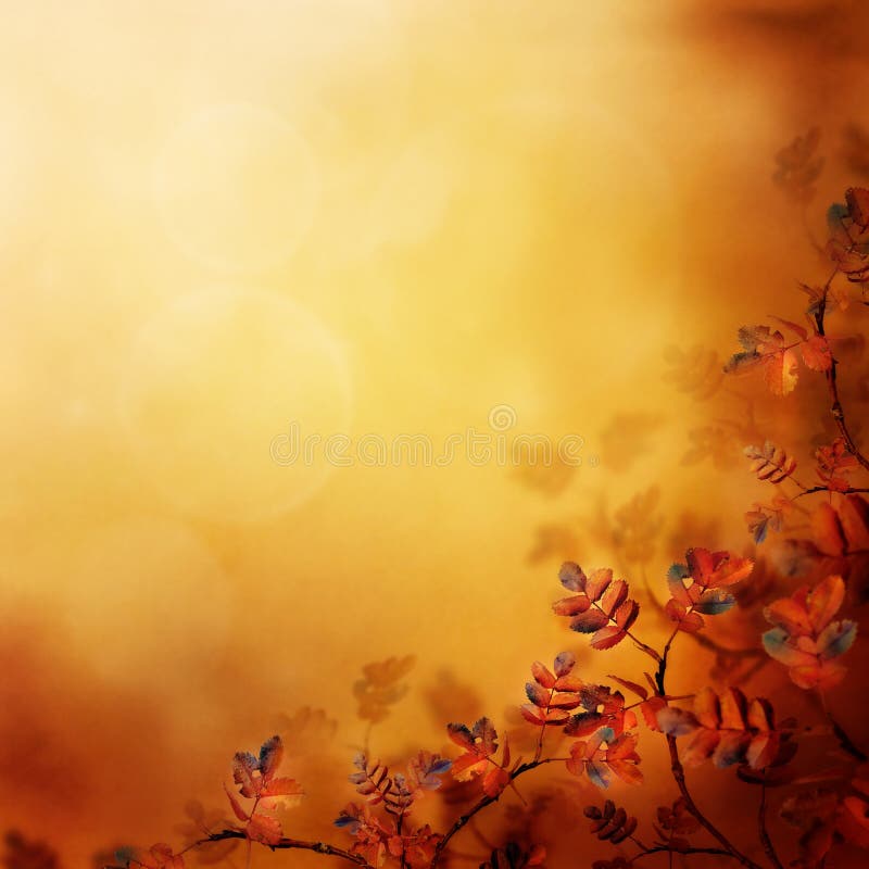 Textured Autumn Leaves stock image. Image of golden, mottled - 3591599