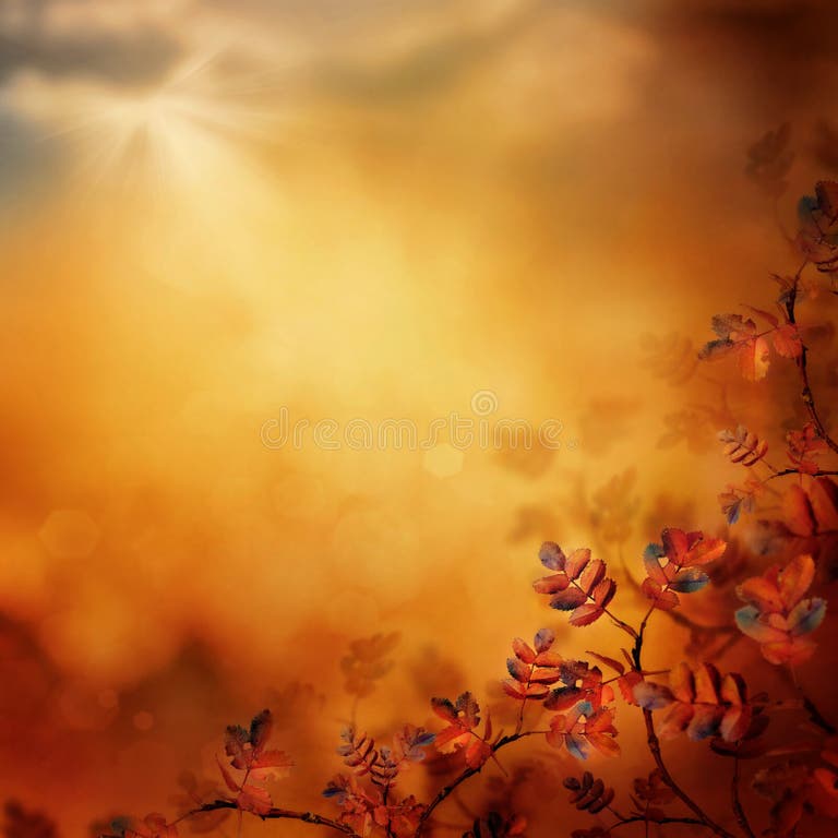Macro Autumn Background Stock Illustrations – 114,588 Macro Autumn ...