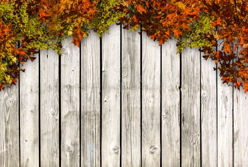 Autumn background stock image. Image of background, wood - 27645927