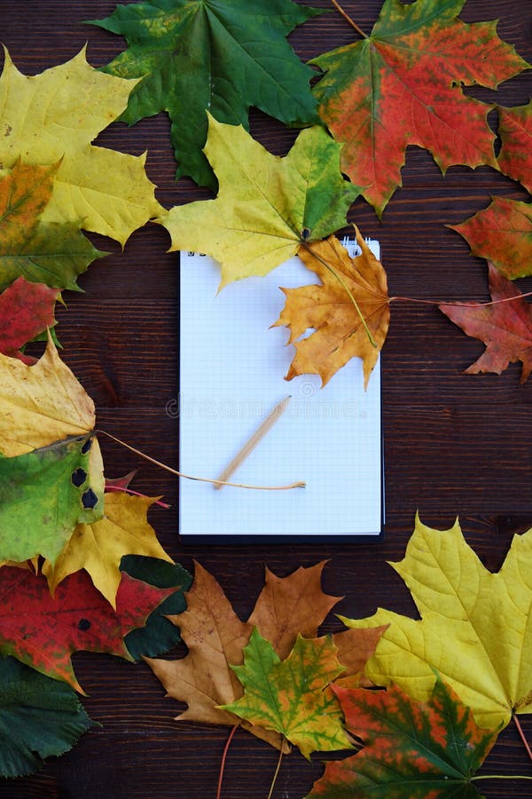 Autumn Background with Colored Leaves and Notepad Stock Image - Image ...