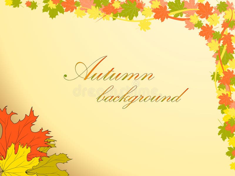 Autumn Background with Colored Maple Leaves Decorates the Top Right ...