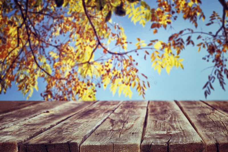 Autumn Background with Colorfull Foilage Background and Rustic Wood ...