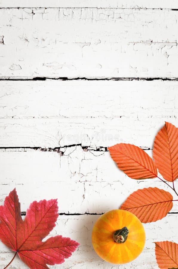 Autumn Background of Fall Leaves on the Wooden Board, Top View Stock ...