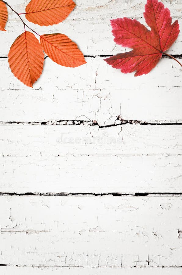 Autumn Background of Fall Leaves on the Wooden Board, Top View Stock ...