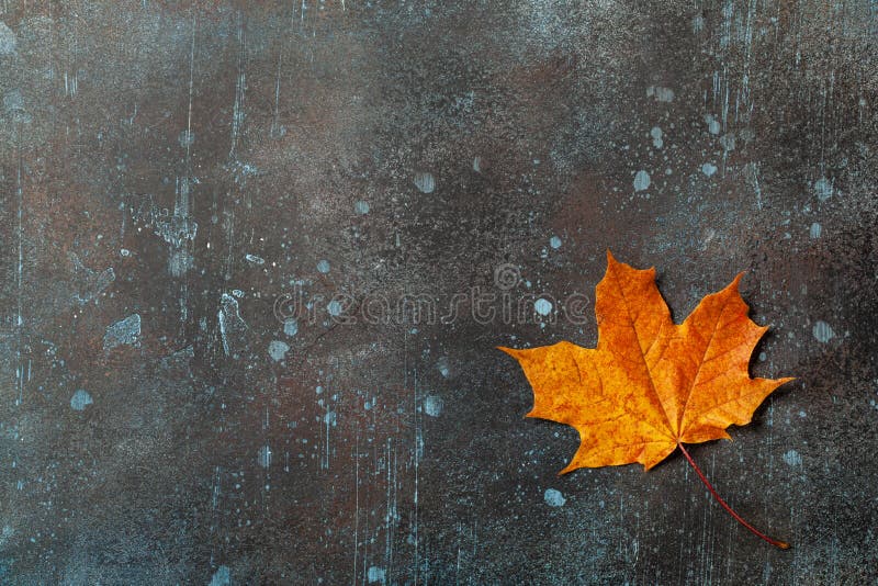 Autumn Background with Fall Maple Leaves on Rusted Metallic Surface ...
