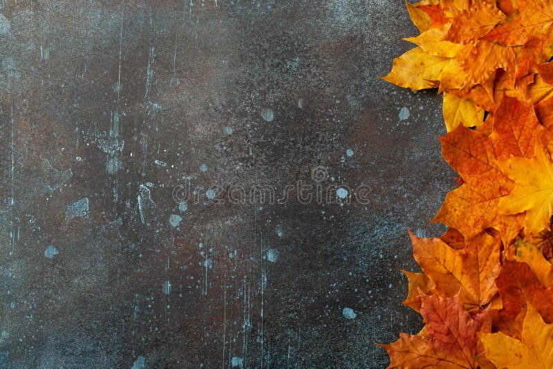 Autumn Background with Fall Maple Leaves on Rusted Metallic Surface ...