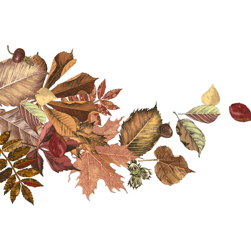Autumn Background with Flying Leaves Stock Vector - Illustration of ...