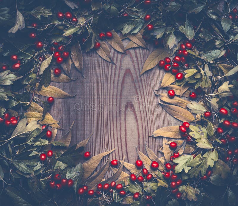 Autumn Background Frame with Fall Leaves and Red Berries on Dark Rustic ...