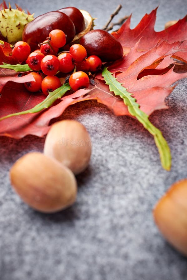 Autumn background stock image. Image of background, space - 34726333